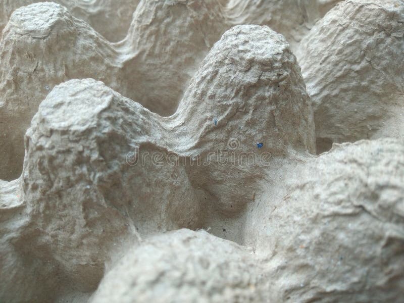 Texture of Egg Boxes Sold in the Market Stock Photo - Image of white ...