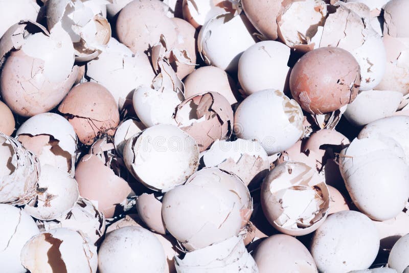 Texture of an egg shell. stock photo. Image of backdrop - 143315372