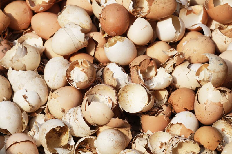 Texture of an egg shell. stock photo. Image of backdrop - 143315372