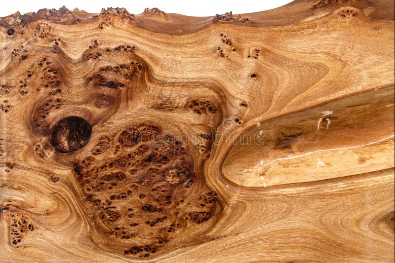 Texture of Elm Burl Slab Table Top Stock Image - Image of modern ...