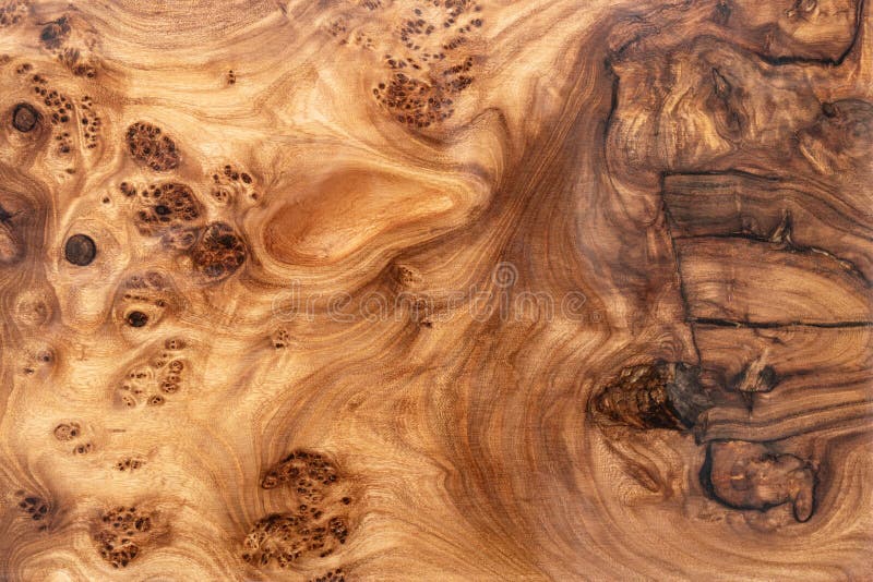Texture of Elm Burl Slab Table Top Stock Image - Image of furniture ...