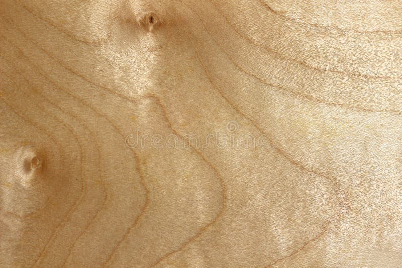 Texture en bois d'érable photo stock. Image du configuration - 34351662