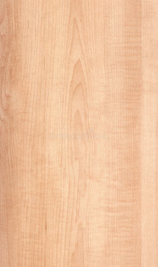 Texture En Bois De Texture D'érable Photo stock - Image du conception ...