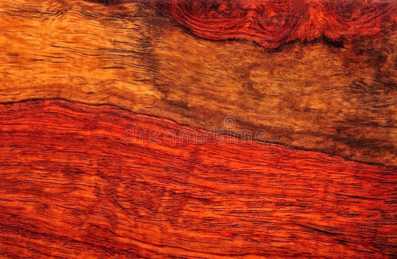 Texture en bois d'acajou photo stock. Image du bois, configuration ...