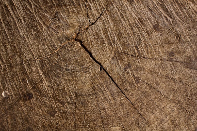 Texture En Bois D'un Tronc D'arbre, Texture De Fond Photo stock - Image ...