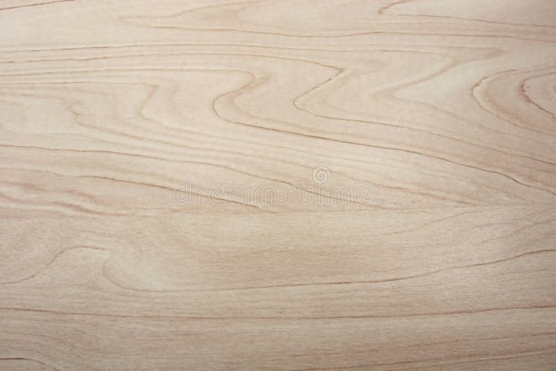 Texture en bois de bouleau image stock. Image of élégance - 59095459