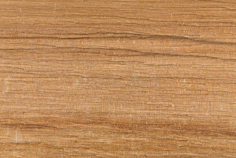 Texture en bois de bouleau image stock. Image du vieux - 63653671