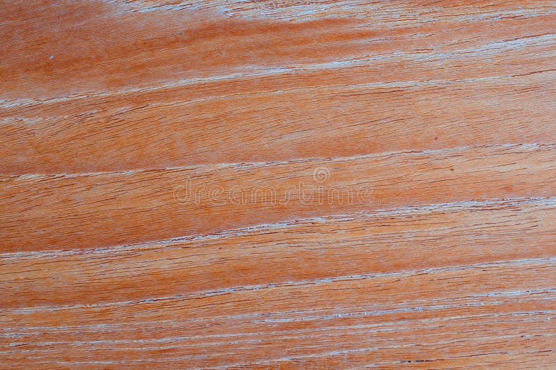 Texture en bois de teck image stock. Image du lisse, couleur - 15821857