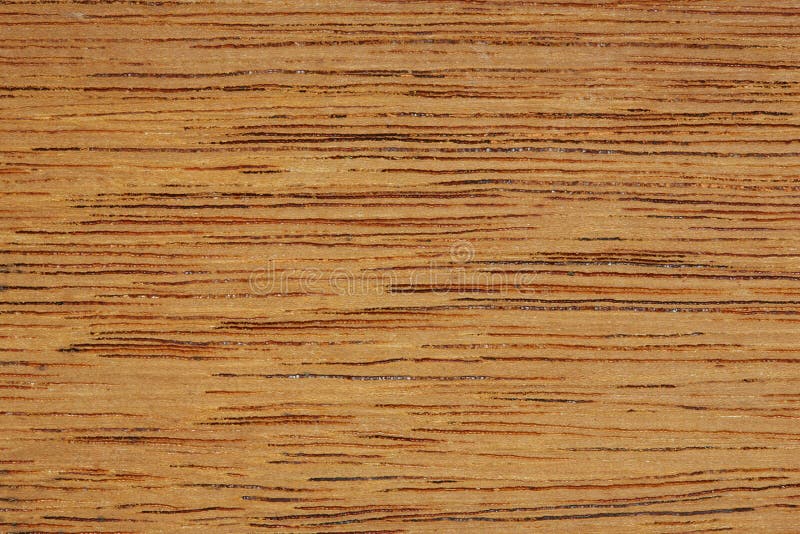 Texture en bois de teck image stock. Image du souillure - 30843581