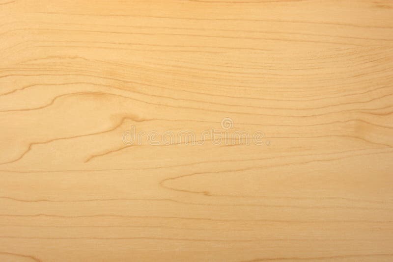 Texture En Bois De Texture D'érable Photo stock - Image du conception ...