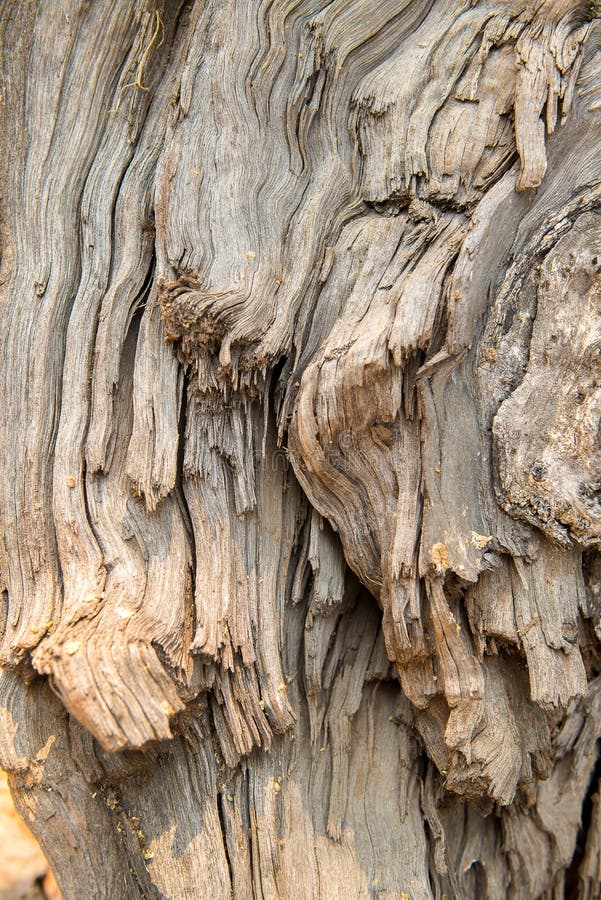 Bois de tige de texture photo stock. Image du cheminée - 37630300