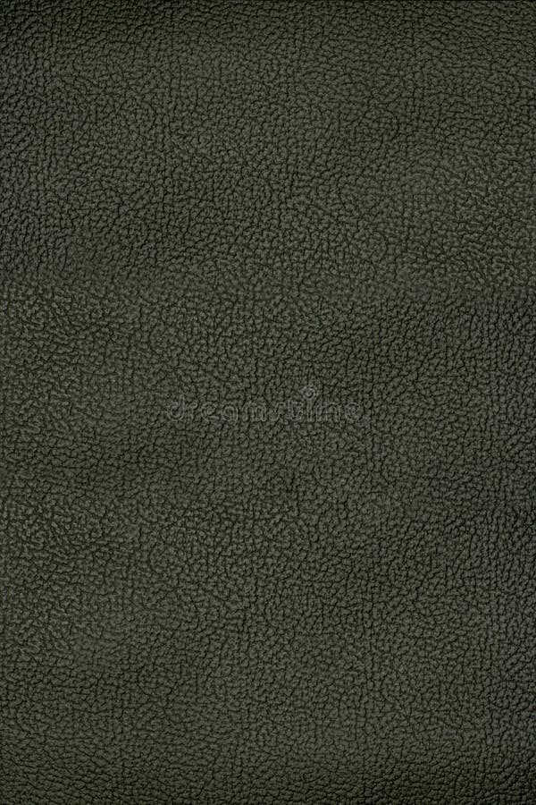 Texture En Cuir Image. Image: 6220711