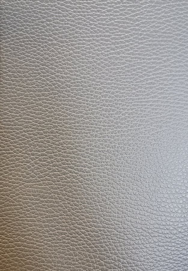 Maison Grande Moderne De Luxe Grise De Deux Histoires Extérieure Avec ...