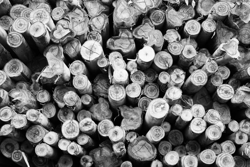 Texture of an End Face of Wooden Many Firewood in Stack for Background ...