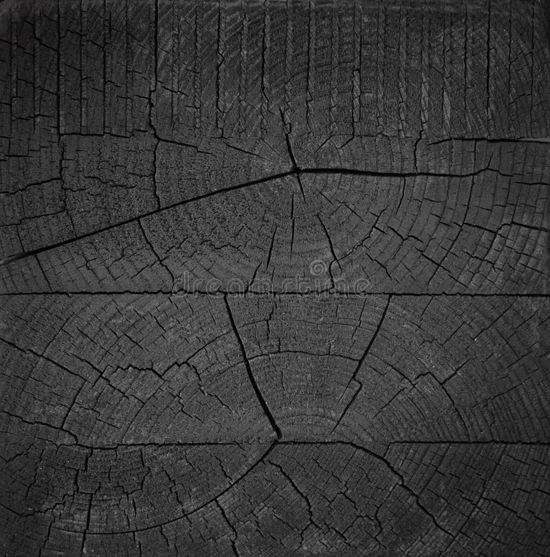 Texture of the End of the Tree Stock Image - Image of grain, closeup ...