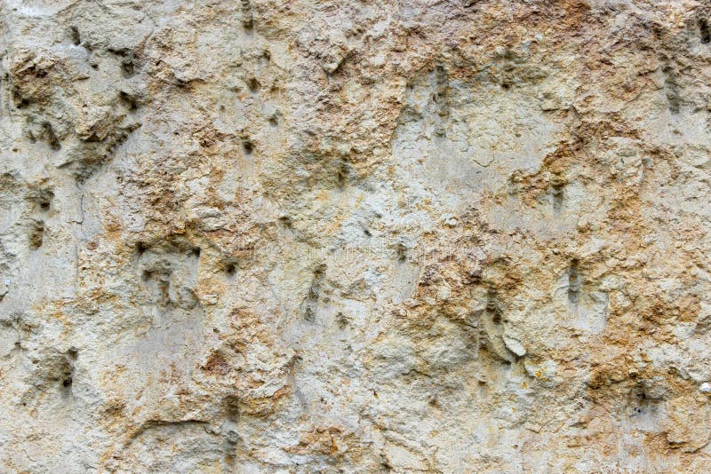 Texture of Erose and Perforated Stone Wall Stock Image - Image of hole ...