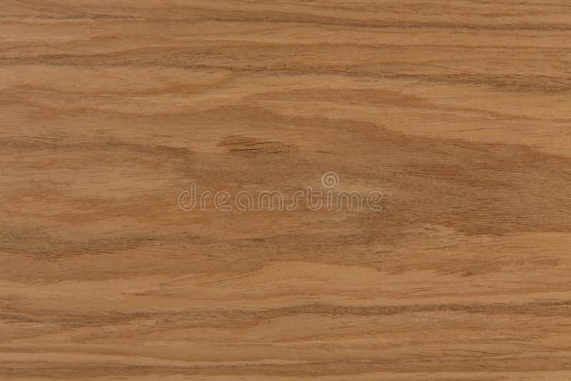 Texture of European Walnut with Natural Patterns. Stock Photo - Image ...