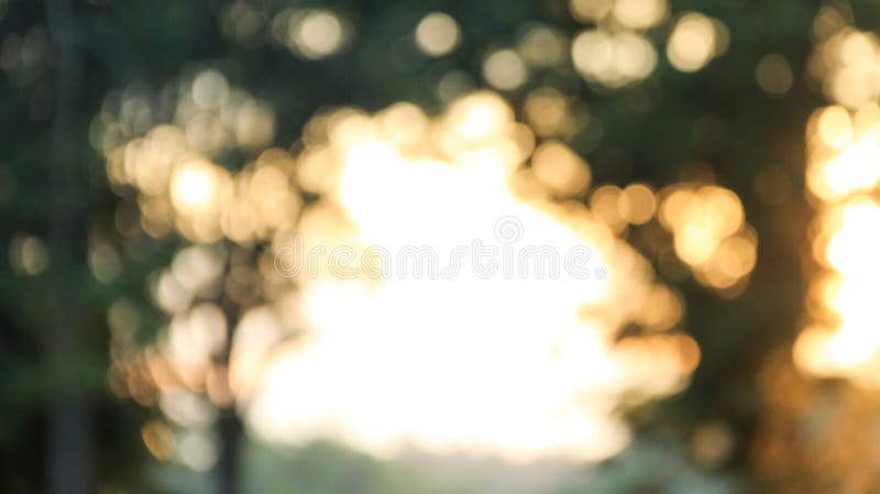 Texture of Evening Sunlight Bokeh Background Stock Photo - Image of ...