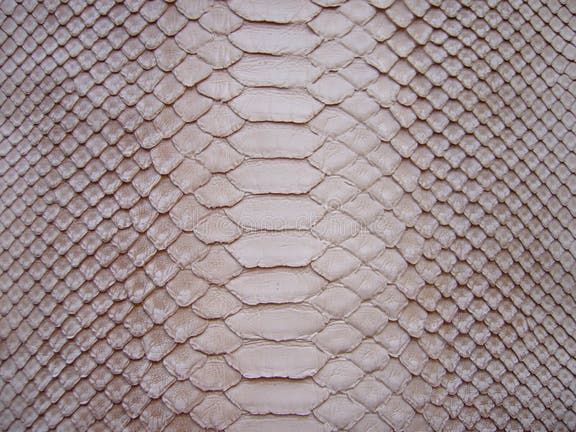 Texture of Exotic Leather. the Skin of a Python, a Snake is Pink, Flesh ...