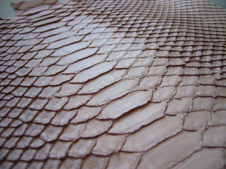 Texture of Exotic Leather. the Skin of a Python, a Snake is Pink, Flesh ...