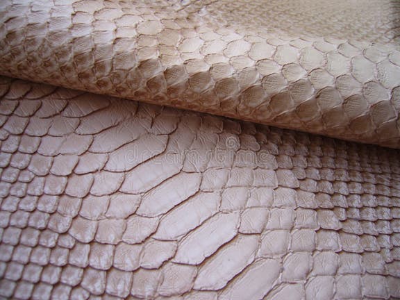 Texture of Exotic Leather. the Skin of a Python, a Snake is Pink, Flesh ...