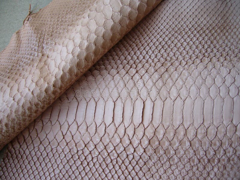 Texture of Exotic Leather. the Skin of a Python, a Snake is Pink, Flesh ...