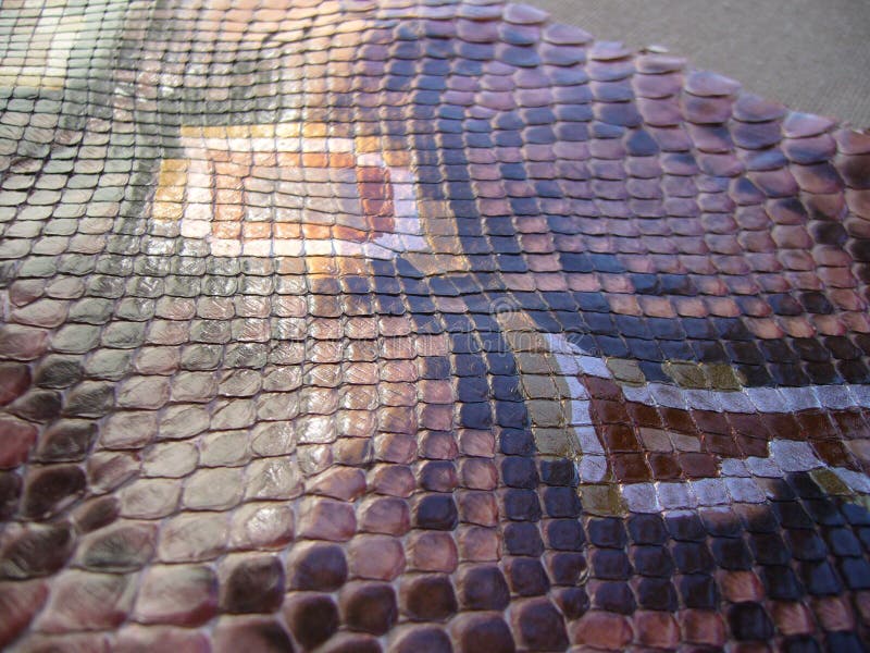 651 Pink Snake Skin Stock Photos - Free & Royalty-Free Stock Photos ...