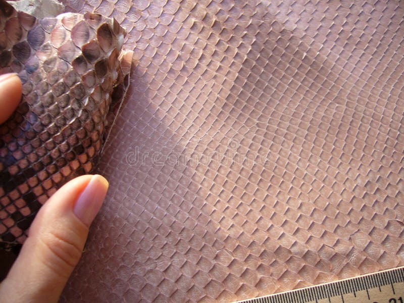 Texture of Exotic Leather. the Skin of a Python, a Snake is Pink, Flesh ...