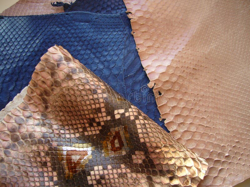 Texture of Exotic Leather. the Skin of a Python, a Snake is Pink, Flesh ...