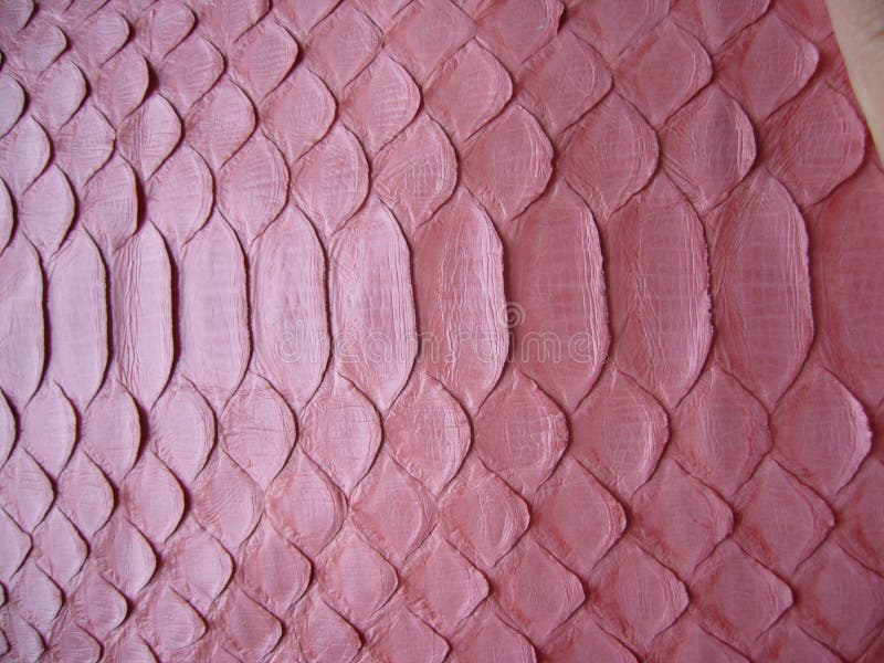 Texture of Exotic Leather. the Skin of a Python, a Snake is Pink, Flesh ...