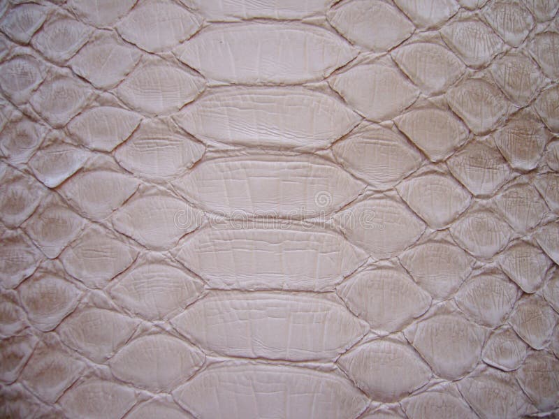Texture of Exotic Leather. the Skin of a Python, a Snake is Pink, Flesh ...