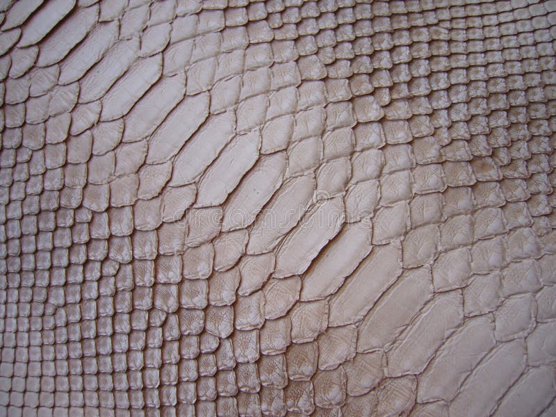 Texture of Exotic Leather. the Skin of a Python, a Snake is Pink, Flesh ...