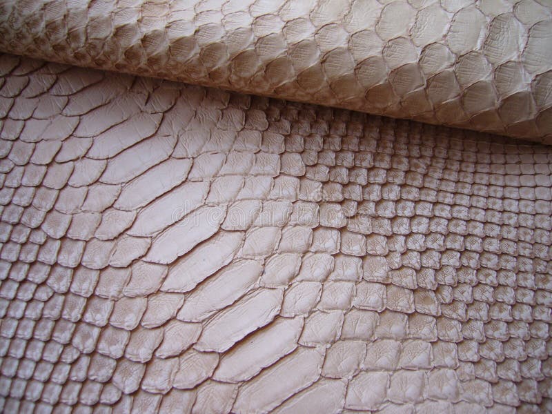 Texture of Exotic Leather. the Skin of a Python, a Snake is Pink, Flesh ...