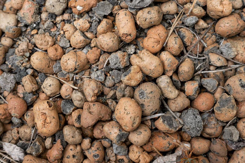 Expanded clay stock photo. Image of ceramic, heap, material - 258499906