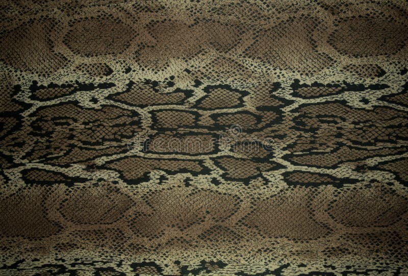 Texture of Fabric Stripes Snake Leather for Background Stock Photo ...