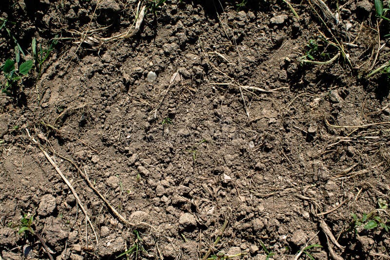 Texture farmland stock image. Image of agriculture, background - 193949069