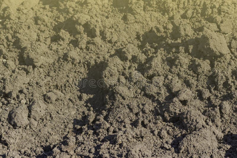 Texture of Fertile Soil the Background is a Deep Brown Color Stock ...