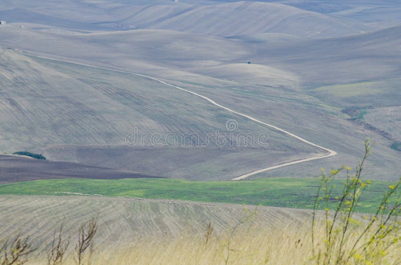 Texture fields natural stock image. Image of leaf, cultivated - 58815415