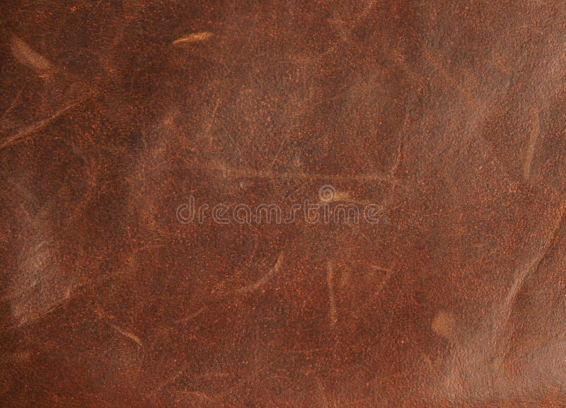 Texture of a Fine Brown Leather Surface Using As Background or Header ...