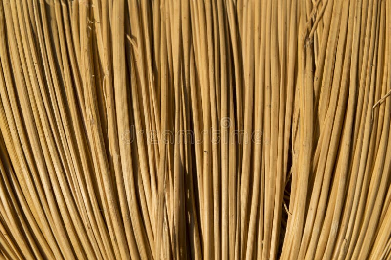 Texture of Fine Yellow Rods Lying Together in the Same Direction Stock ...