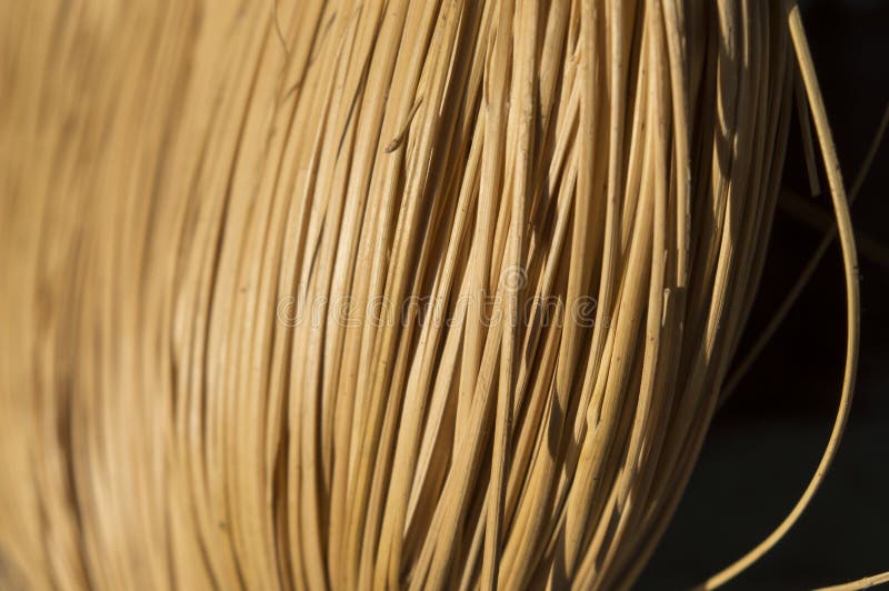 Texture of Fine Yellow Rods Lying Together in the Same Direction Stock ...