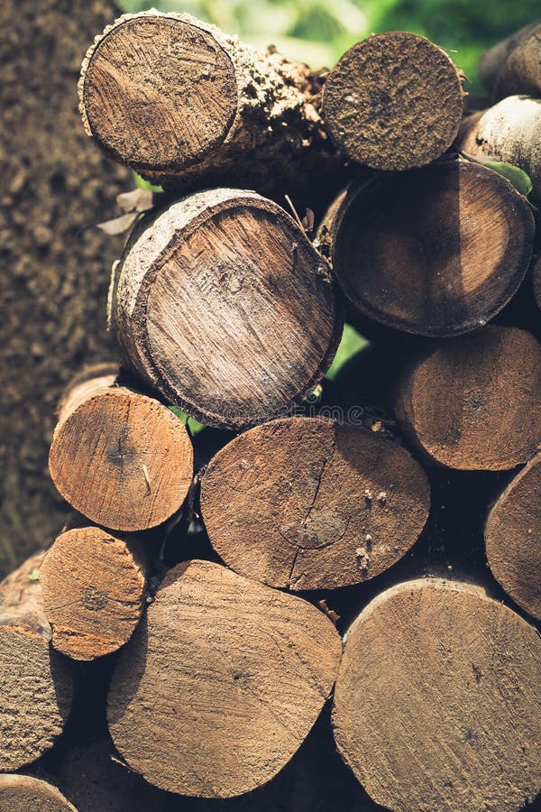 Texture of firewood stock photo. Image of natural, renewable - 337188248