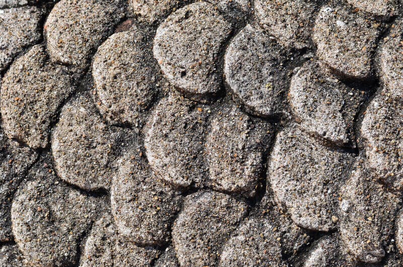 Asian Ancient Golden Giant Snake Scale Pattern Stock Photos - Free ...