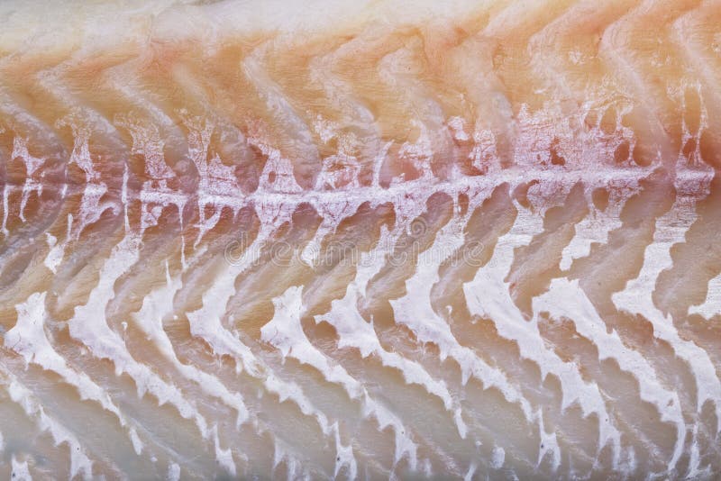 Texture of fish fillets stock photo. Image of abstract - 111662362