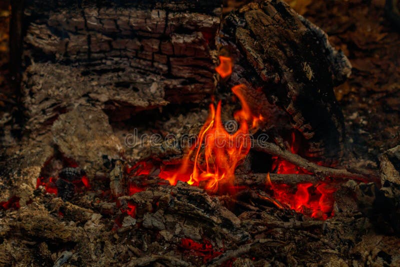 Texture Flame from Burning Logs at Night Stock Photo - Image of ...