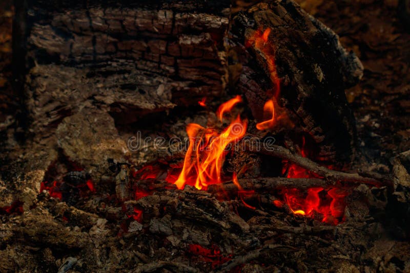 Texture Flame from Burning Logs at Night Stock Image - Image of camping ...