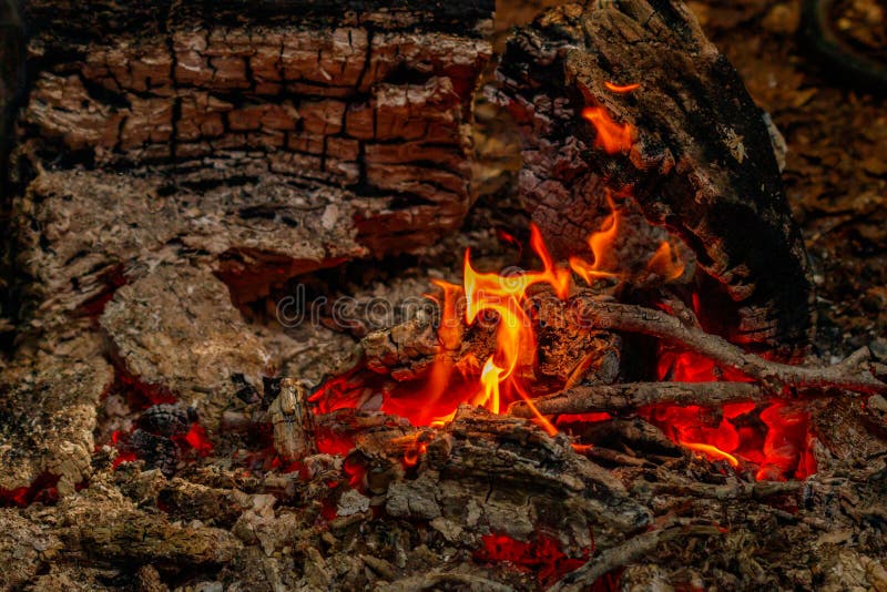 Texture Flame from Burning Logs at Night Stock Photo - Image of bonfire ...
