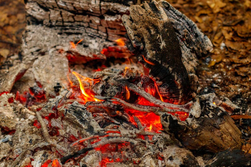 Texture Flame from Burning Logs at Night Stock Photo - Image of ...