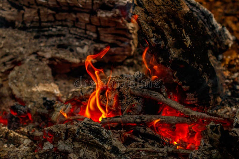 Texture Flame from Burning Logs at Night Stock Photo - Image of ...