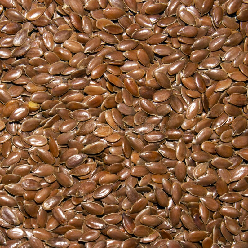 Flax Grains Background.the Texture of Flax Grains is a Top View. Stock ...